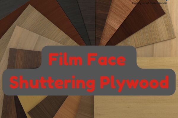 FILM FACE SHUTTERING PLYWOOD – Satluj Ply